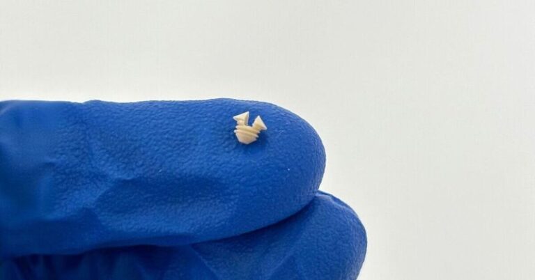 Custom Micro Screws: 7 Factors to Consider for Your Precision Projects ...